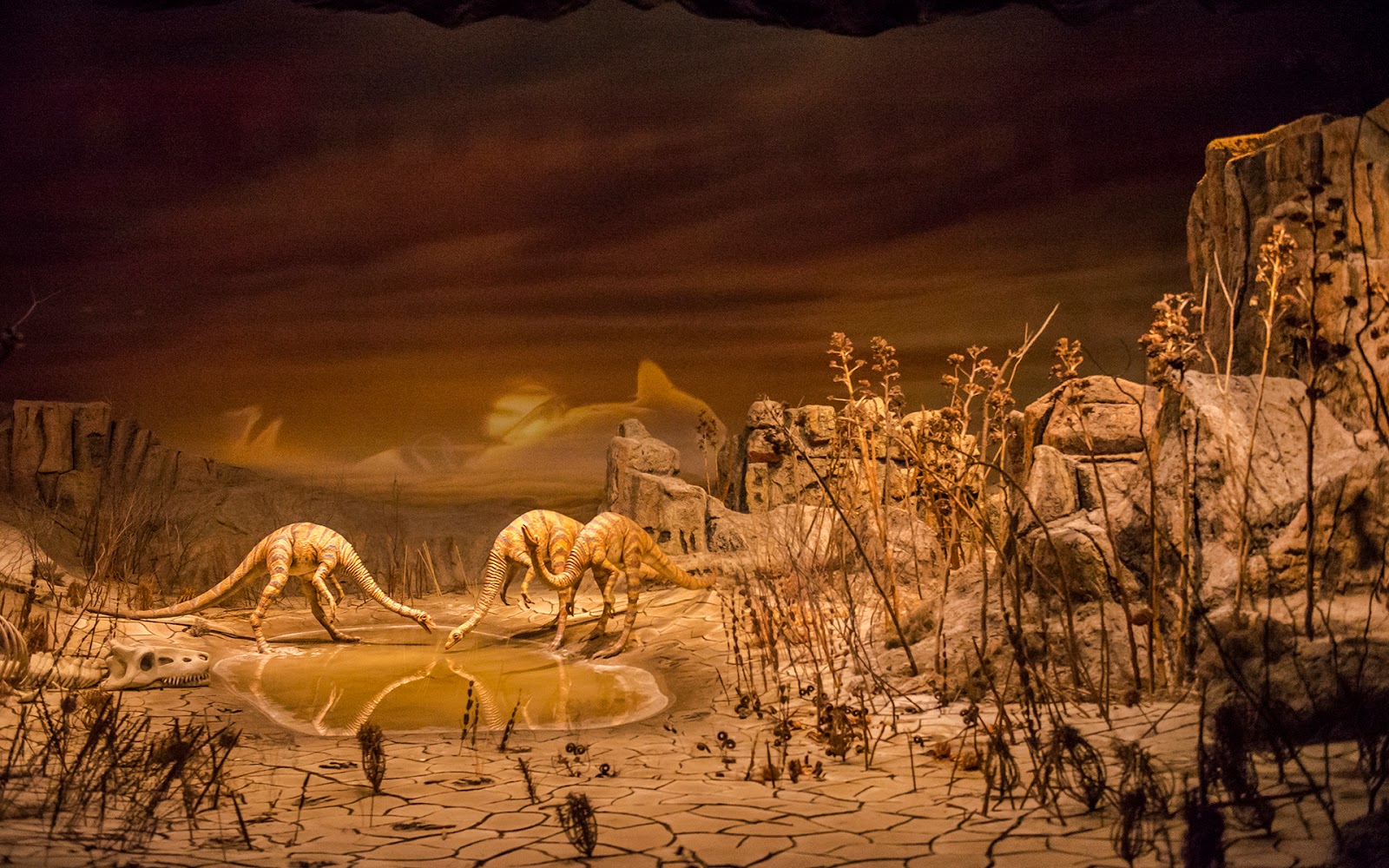 Return to Primeval World