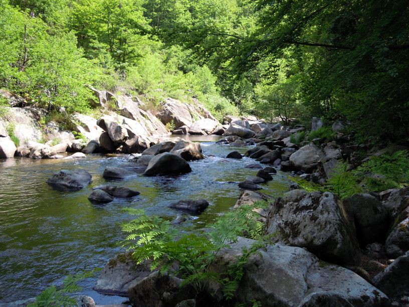 PALM 81 : Rivières du Tarn