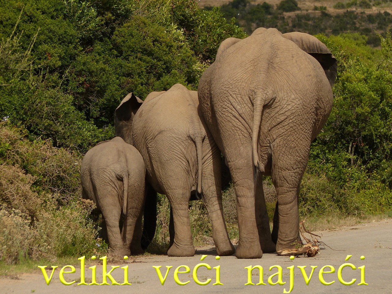 Comparison Of Adjectives Exercises For Advanced Learners Of Serbian Comparison Of Adjectives Exercises For Advanced Learners Of Serbian