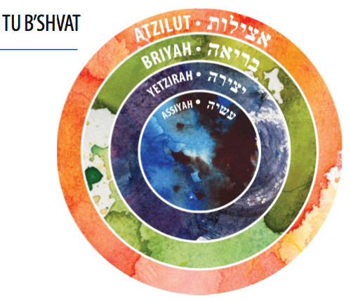 Divrei Torah: Around the Tu b'Shevat Seder Table