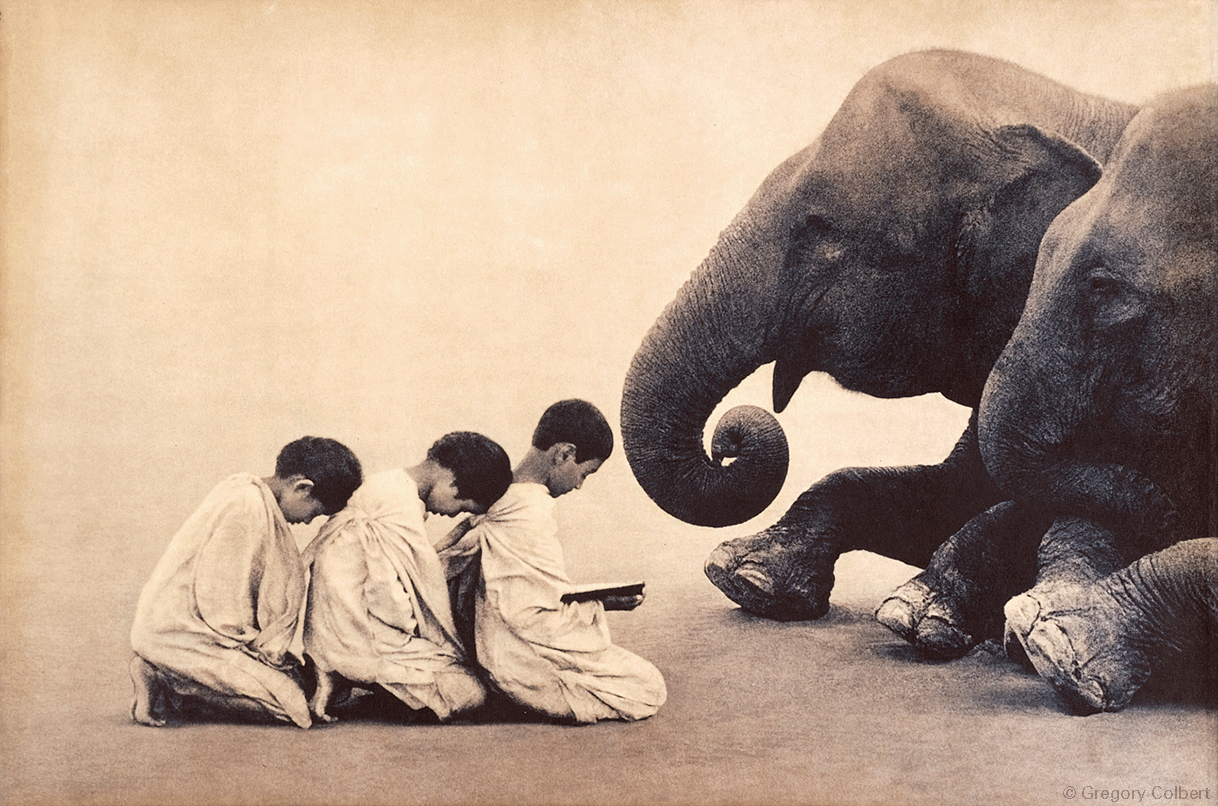 ByElisabethNL: Impressive exhibition "Ashes and Snow" by photographer ...