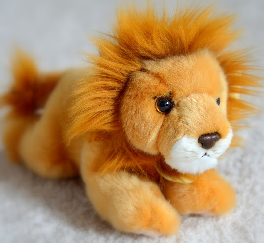 After Surgery Gifts: After Surgery Gifts for the Brave