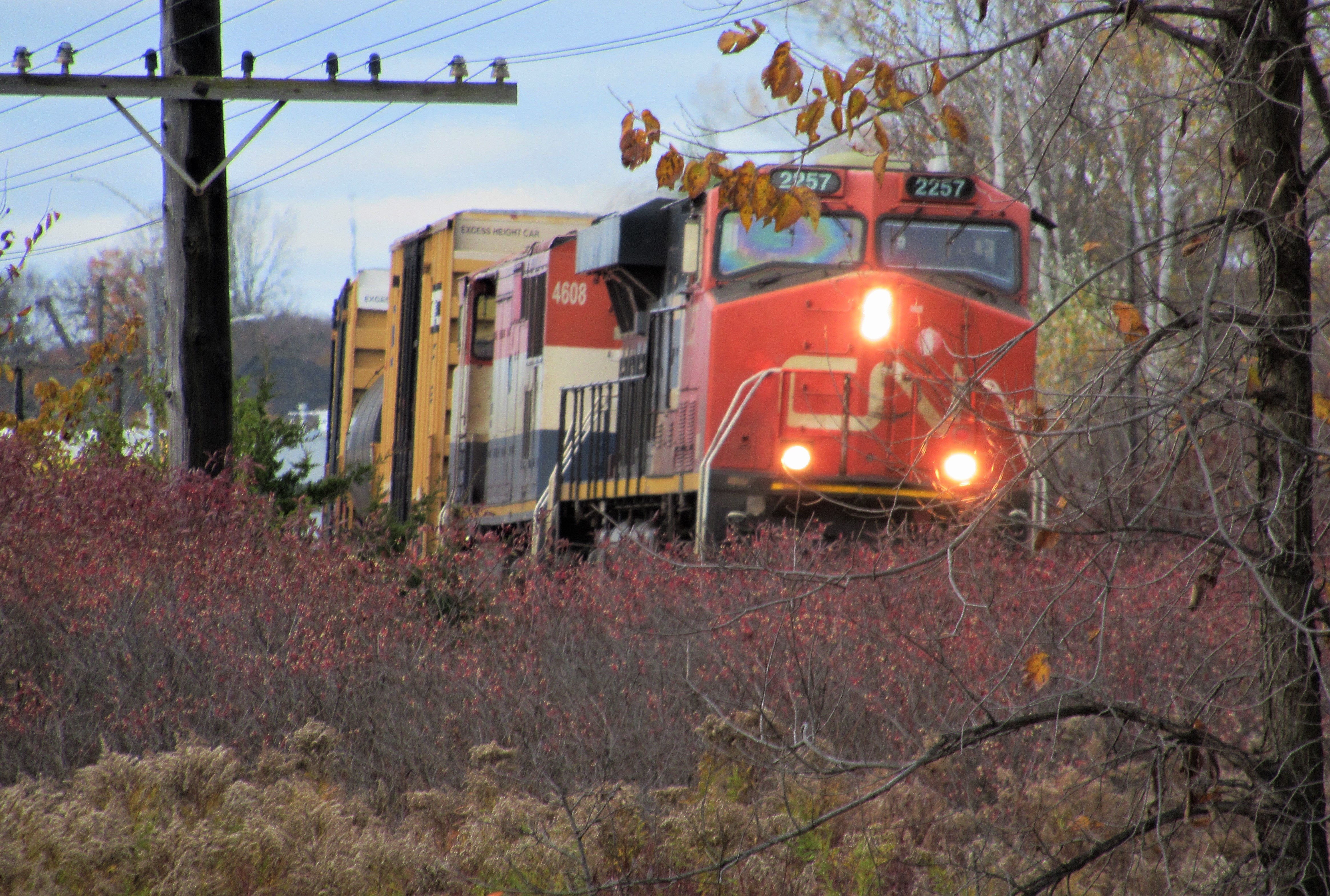 Trackside Treasure: Autumn at Mile 179, October 2020