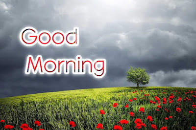 Good morning images Latest new hd pic for whatsapp & social media.