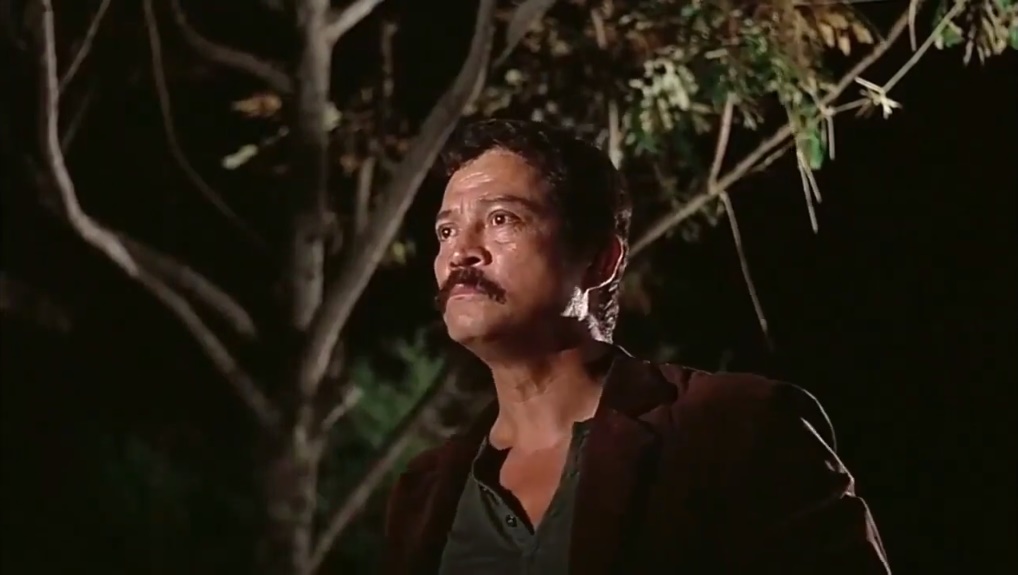 The Bloody Pit of Horror: Ang Panday (1980)