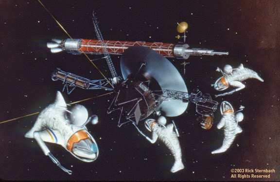 Say Hello Spaceman: Dolphins in Space - A Gallery