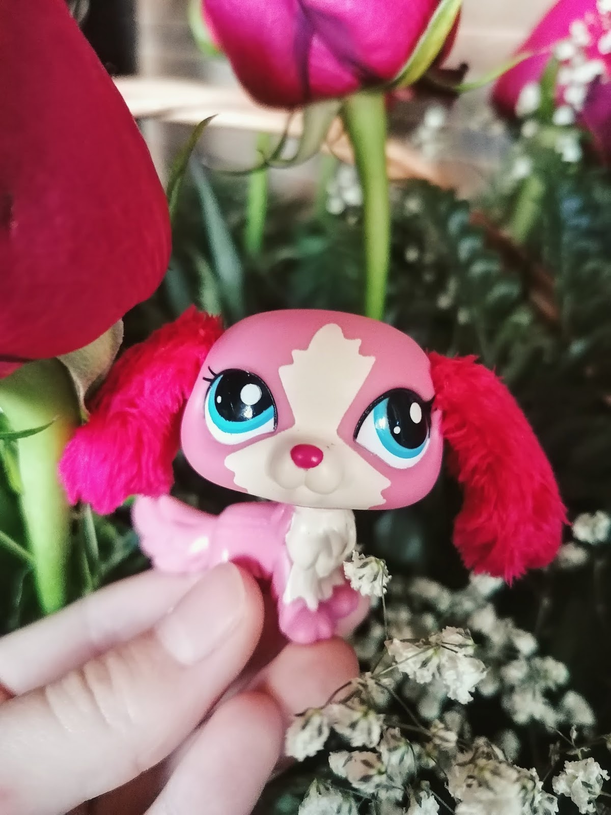 Pralinka lps: 28. Najpiękniejsze imiona dla lps