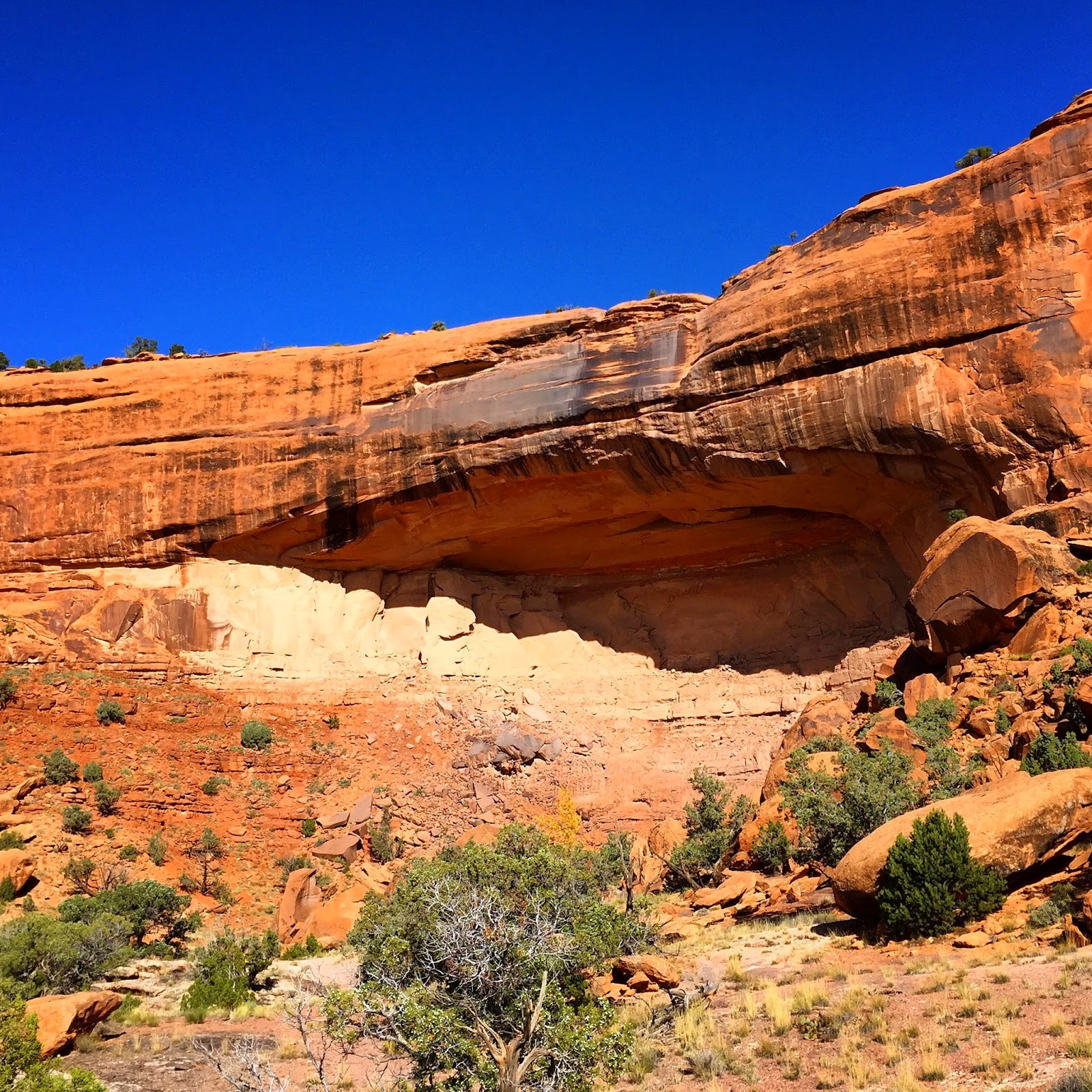 Kate Runs Colorado: Exploring Western Colorado: Dominguez Canyon ...