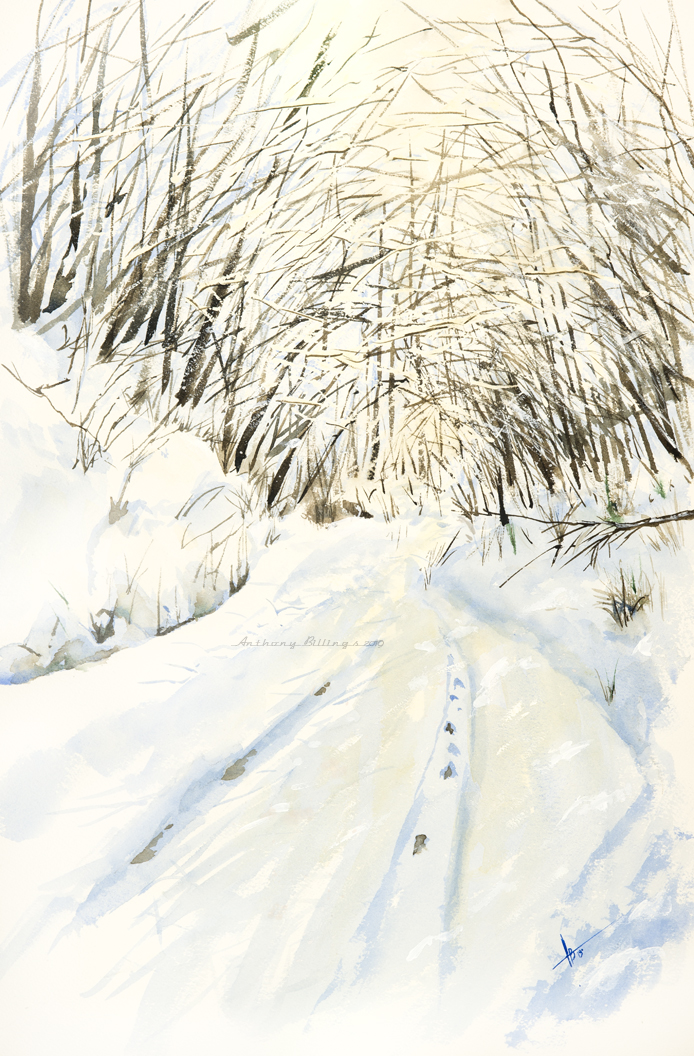 Anthony Billings Art: Path - watercolor