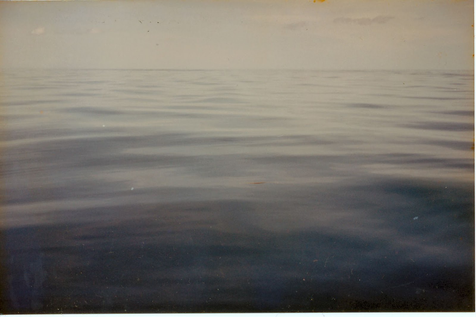 1994 Voyage to King George River