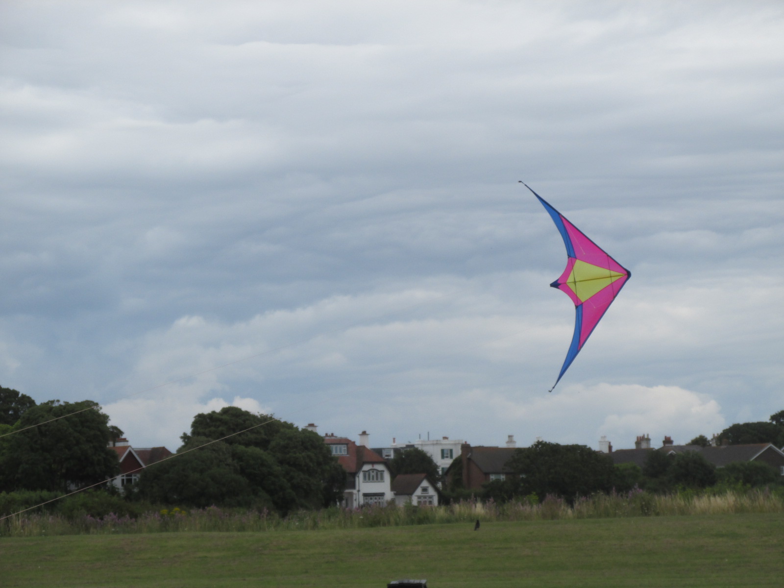 Peter Powell kites collection: Skylite (and looking for a Mustique)