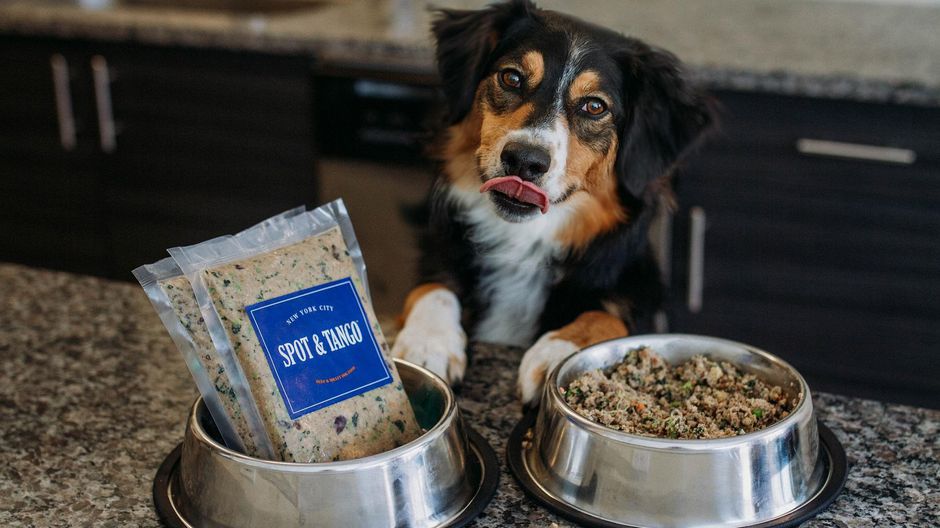 3 Common Dog Food Types