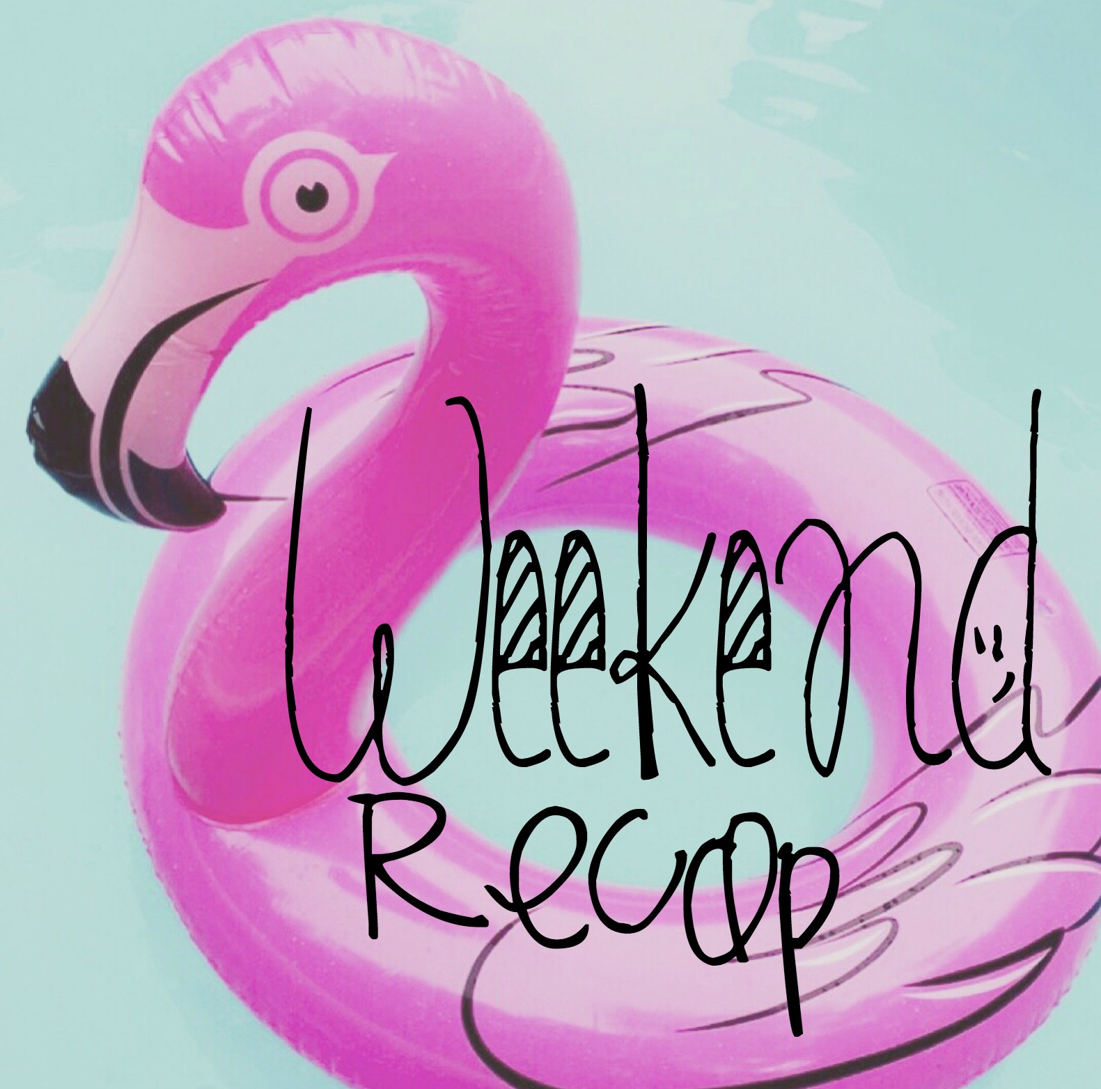 Weekend Recap - Peaches and Willow