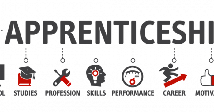 E-Training: Apprenticeship