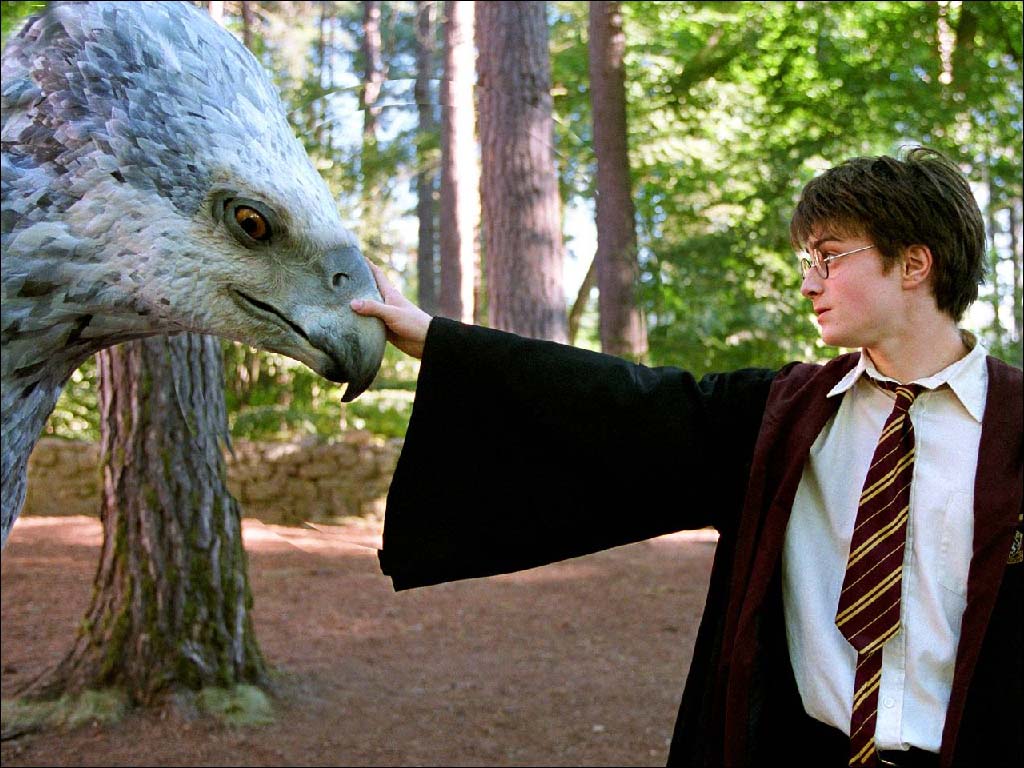 Hogsmeade: Hippogriff