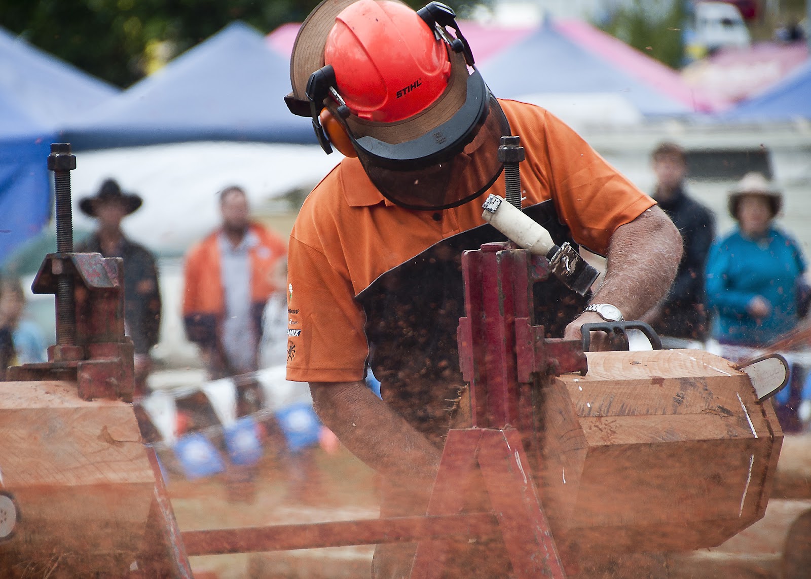 Mt Larcom Agricultural Show
