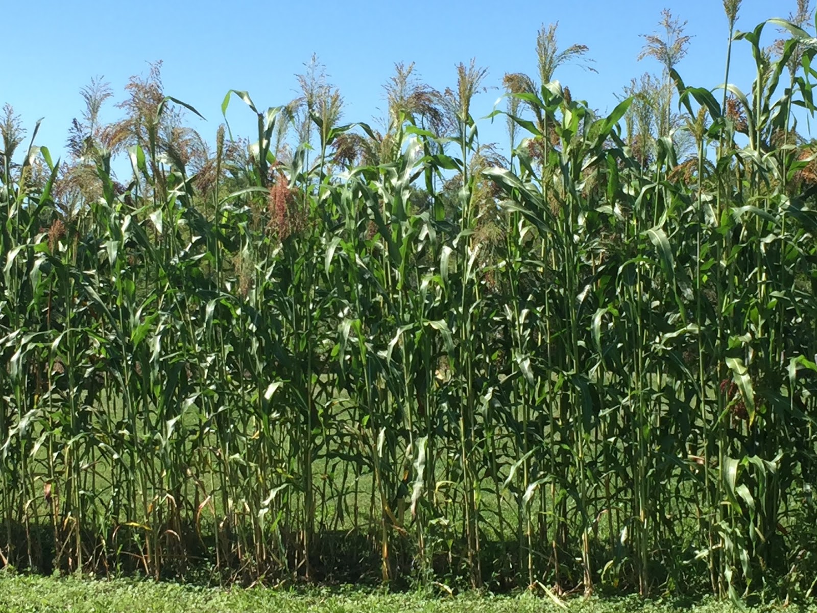 Journey Joys: September 2016