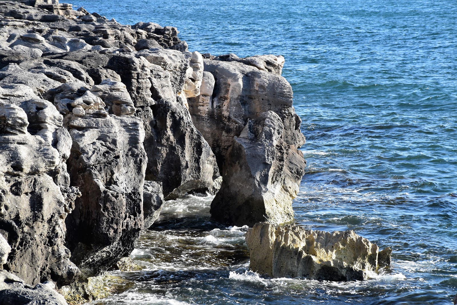 Goin' Feral One Day At A Time: Point Road Campground to Deepdene ...