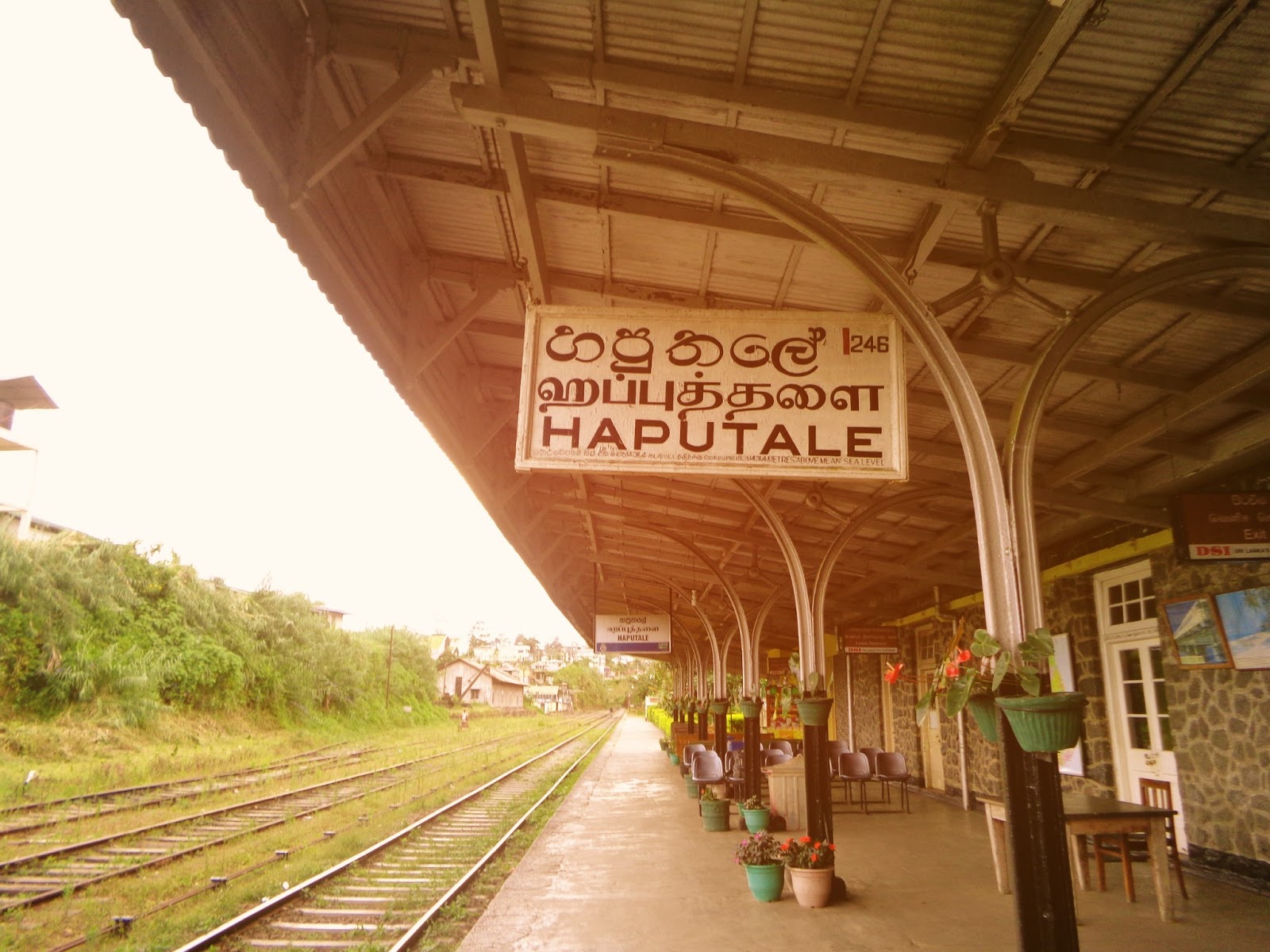 ලින්කන්ගෙ වෙබ් පිටුව: ඔහිය සිට යකාගේ පඩිපෙල පසුකර බඹරකන්ද දියඇල්ලට ...