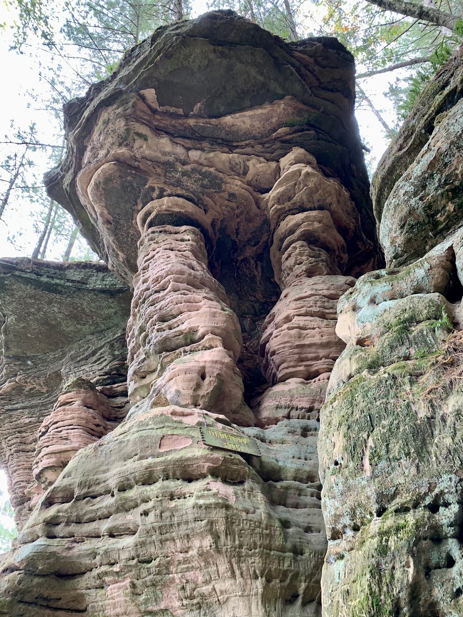 Amy's Creative Pursuits: A Fall Ride On The Upper Dells Boat Tour