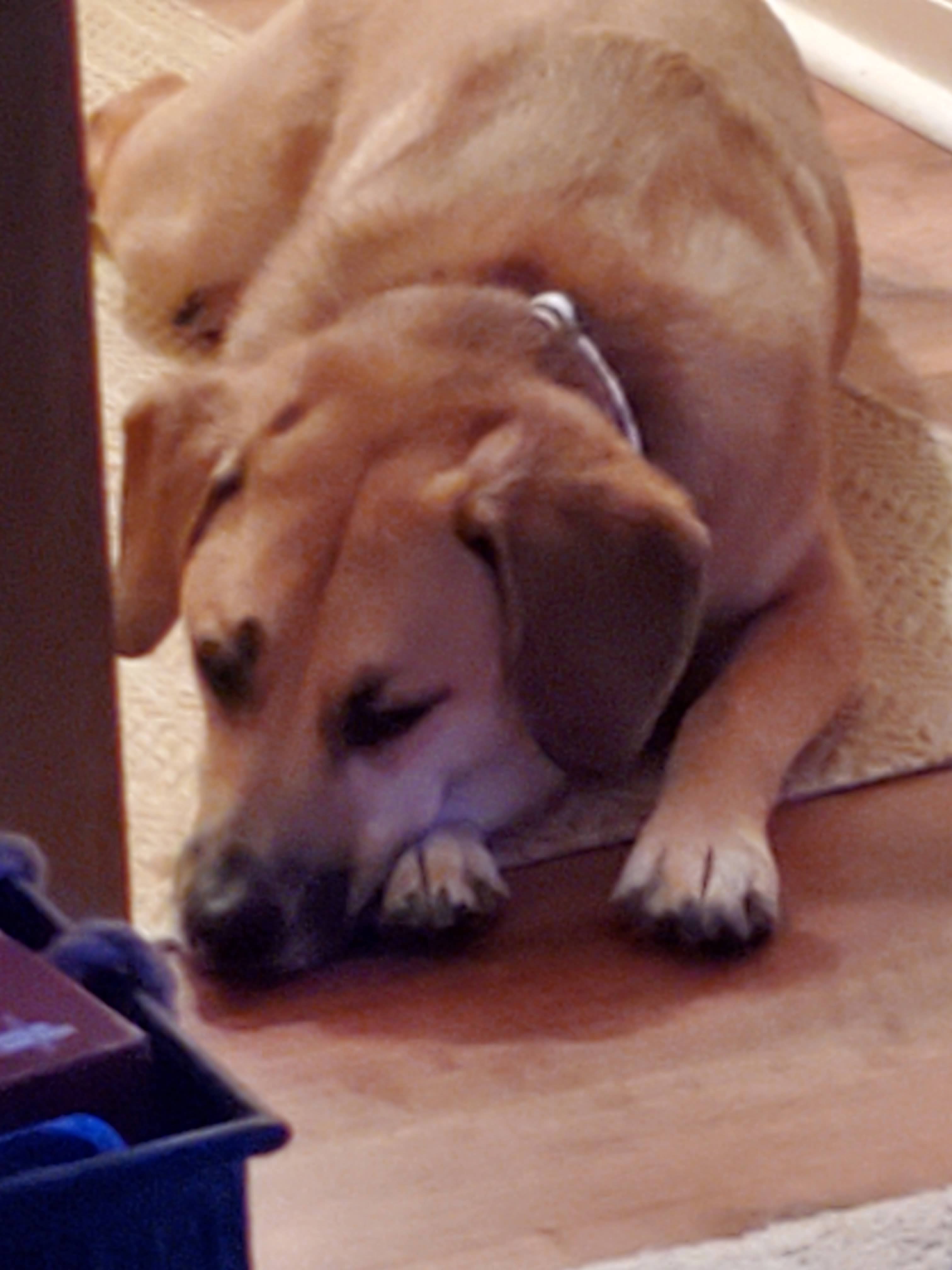 The one she calls peanut... | Vintage Style Gal