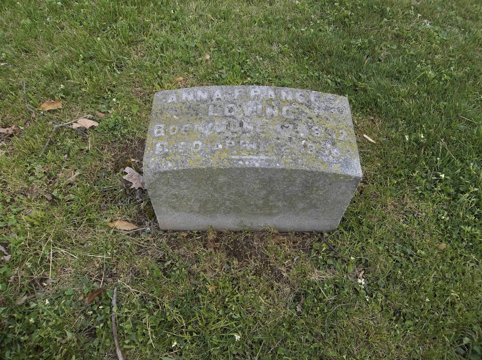 Travels of a Hobgoblin Taphophile: Dr. Starling Loving - Green Lawn ...