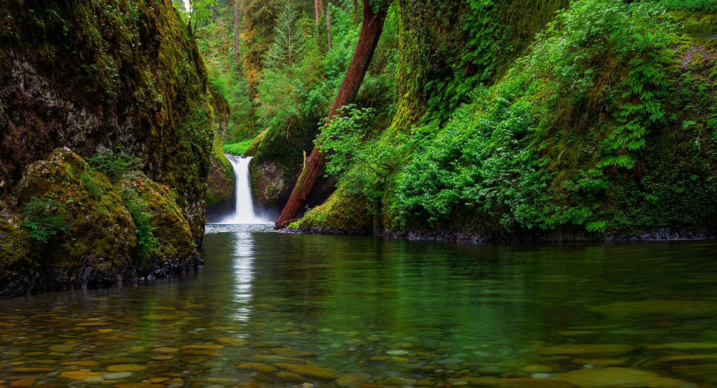 Top 10 Most Popular Photos of 2018