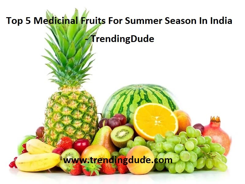 Top 5 Medicinal Fruits For Summer Season In India | Trending Dude