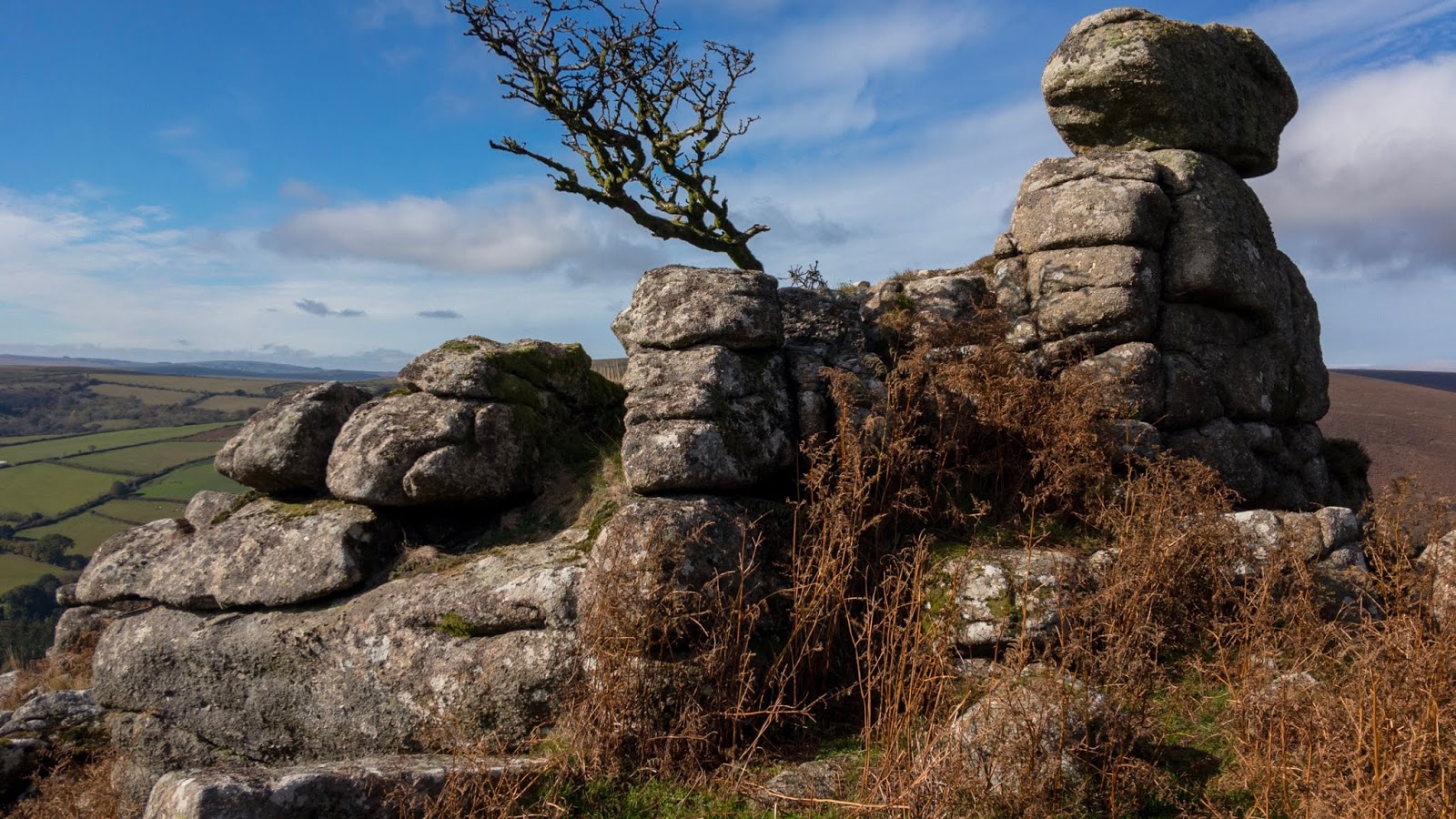 Max Piper - Tor Bagger: Dartmoor: Back to Bonehill Down