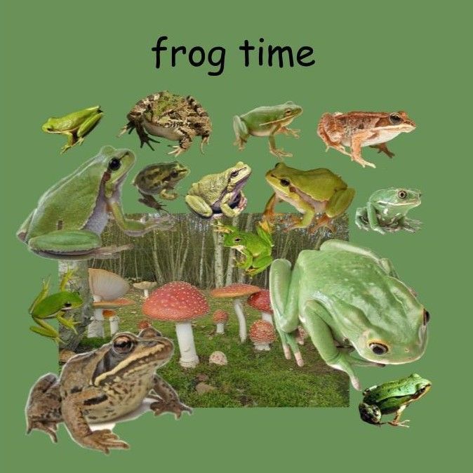 Wednesday Frogs: September 2020