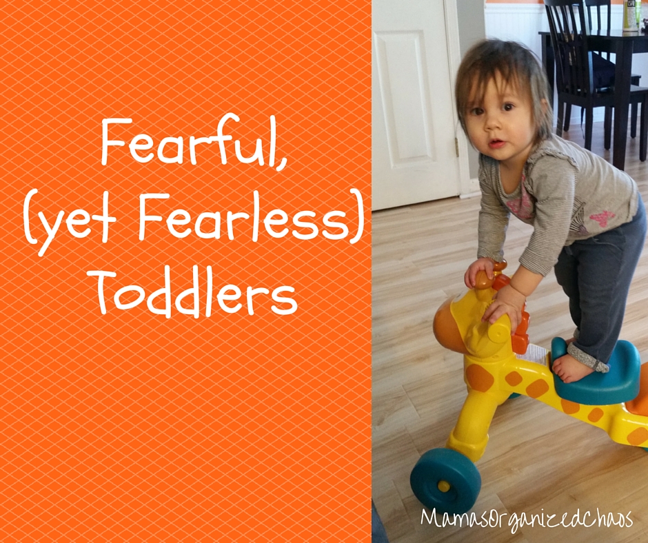 FEARFUL (YET FEARLESS) TODDLERS - Mama's Organized Chaos