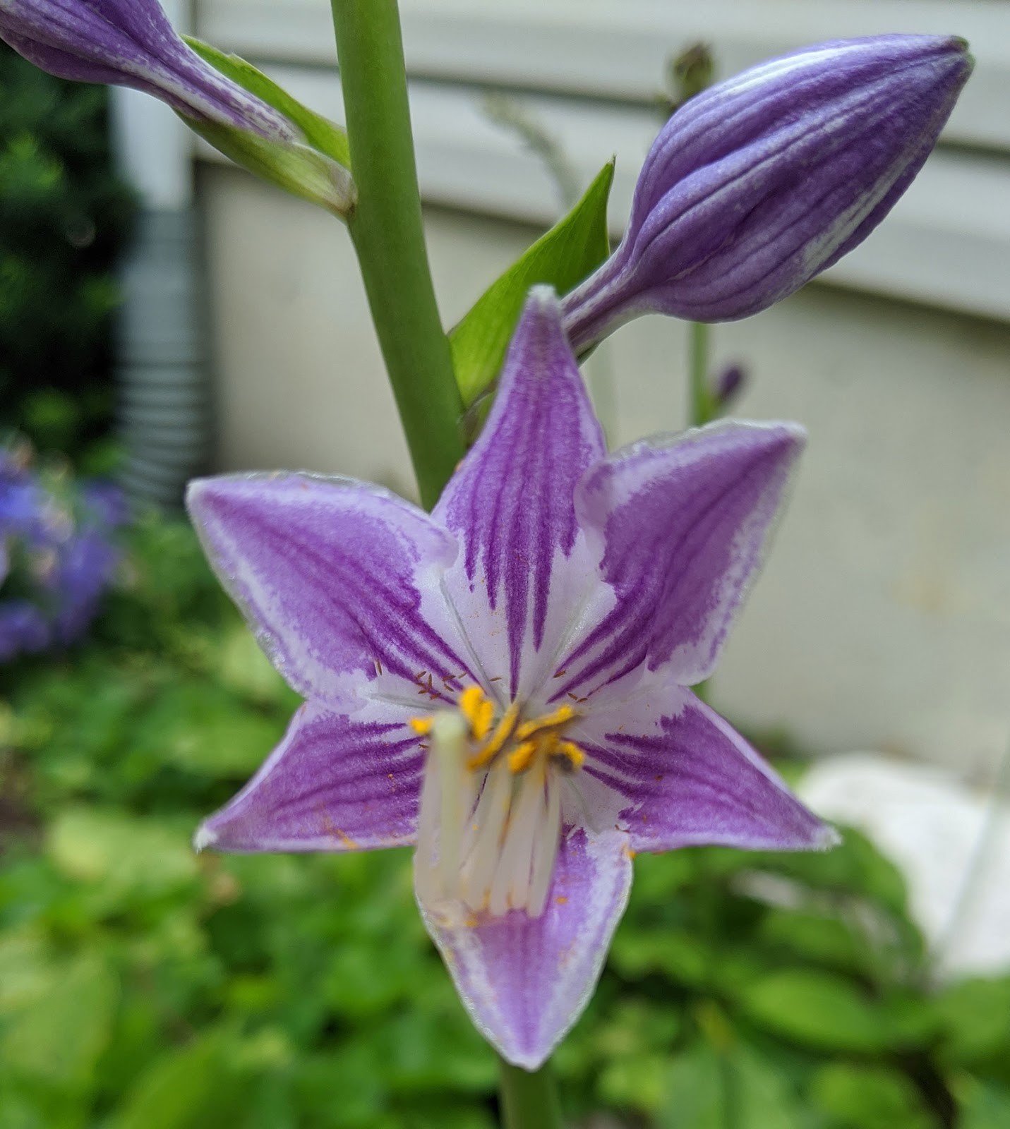 Poppular Photography: 2020