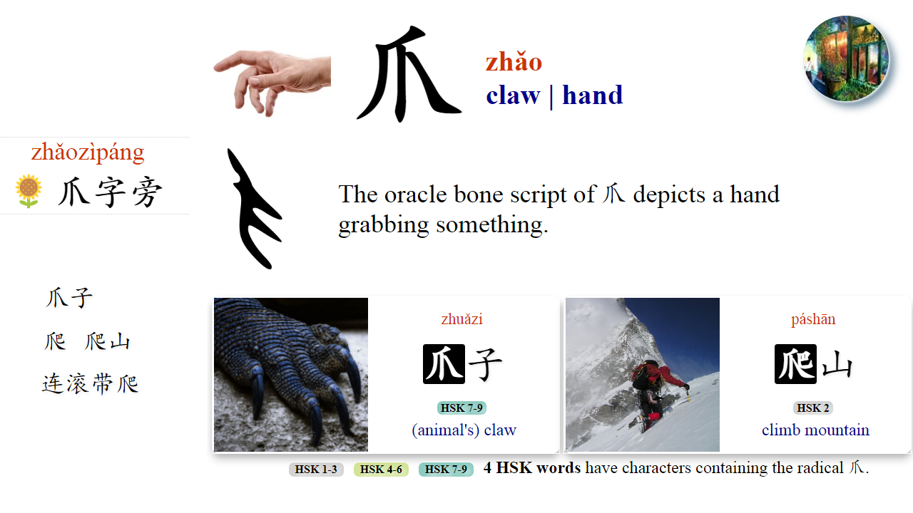 每日中文 Daily Zhongwen: 【Part 1】 № 1 - 21 Chinese Radicals 汉字部首: 手, 爪, 足, 走