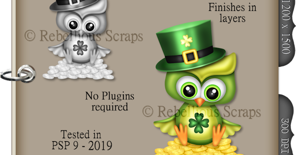 Rebellious Scraps: St Patrick's Owl Script