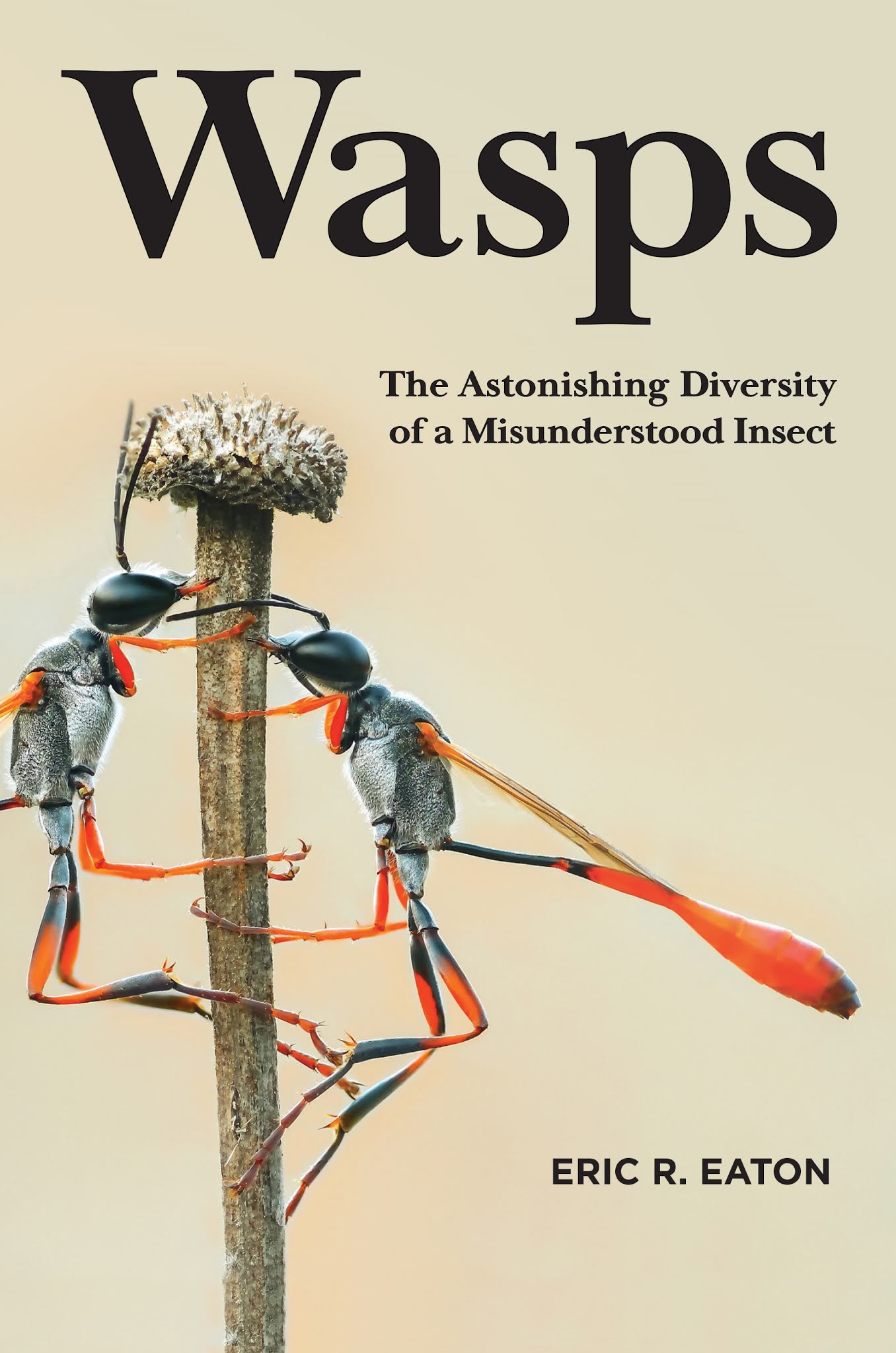 Book Review - Wasps - Princeton University Press - Travels With Birds