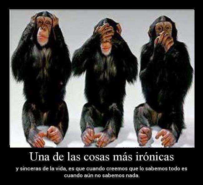 TodoMúsica&Más: LA IRONÍA:UN TRUCO DE LA COMUNICACIÓN