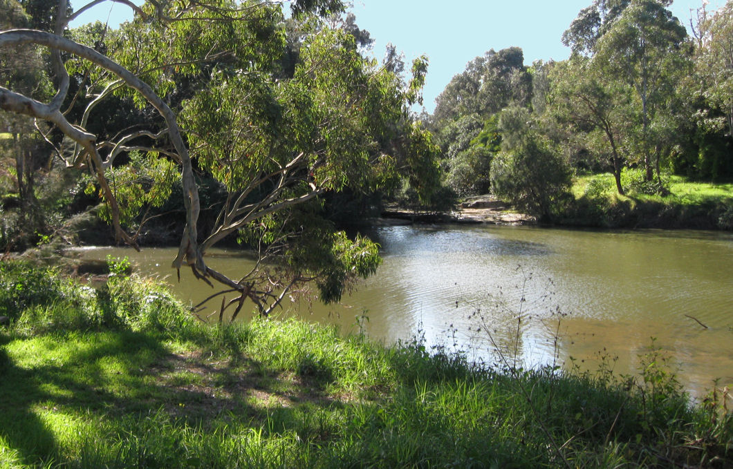 Toongabbie Creek | Our Walks