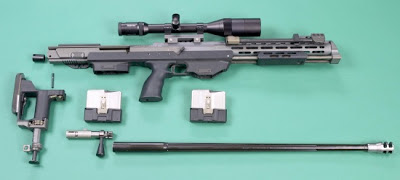 DSR-precision DSR 1 sniper rifle (Germany)