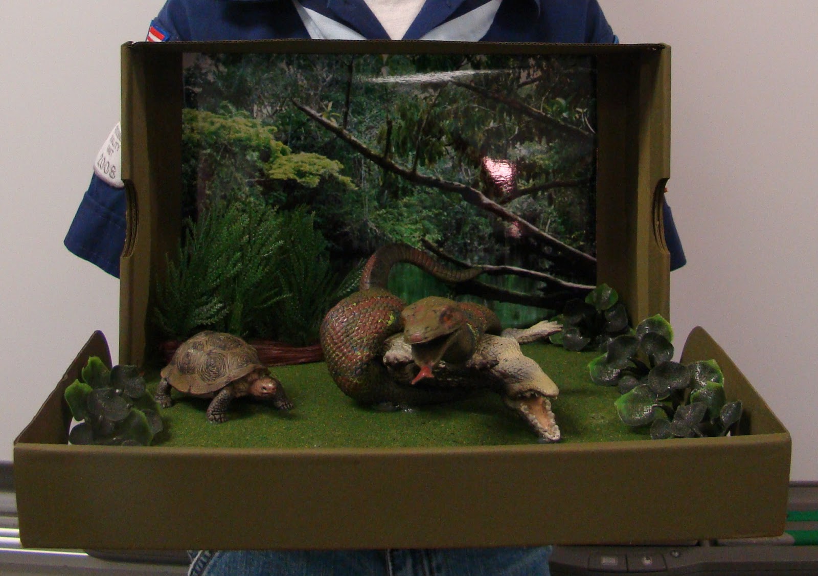 3 Teacher Chicks: Creature Feature Animal Project