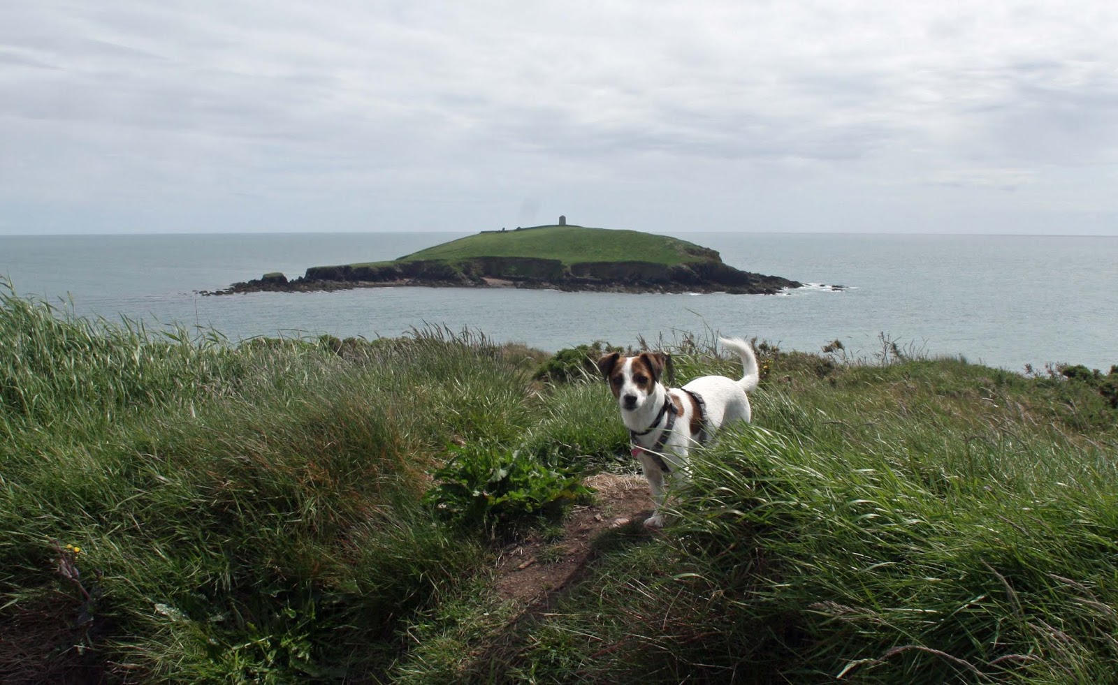 A Walk in Knockadoon