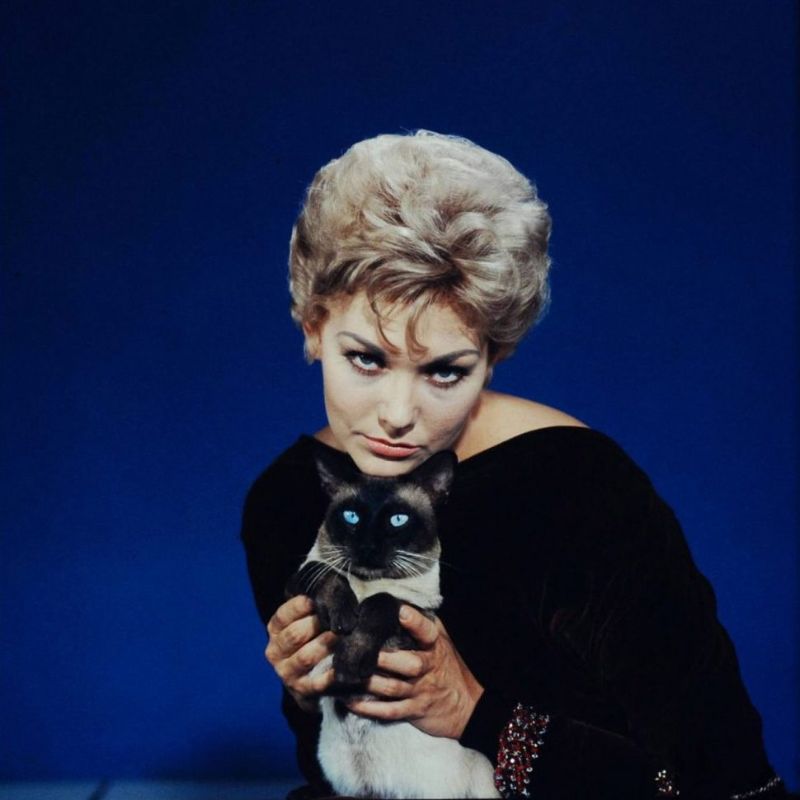 20 Lovely Photos of Kim Novak With Her Cat Pyewacket in “Bell, Book ...
