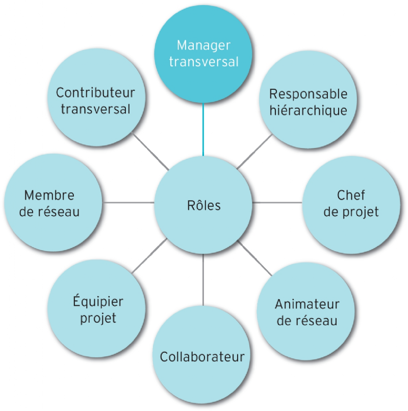 LE MANAGEMENT TRANSVERSAL, C'EST QUOI ? (seconde partie)