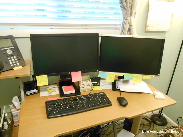 Little Homestead In Boise : Updating Home Office/ Adding Desk Extension