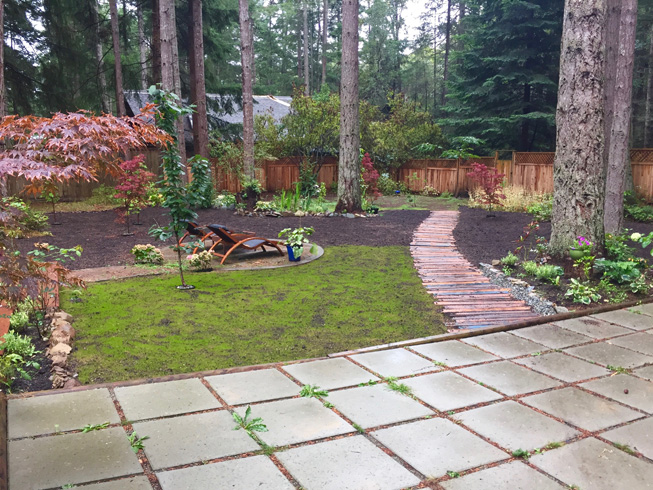 My Life with Functional Neurological Disorder: The Grass Grows!