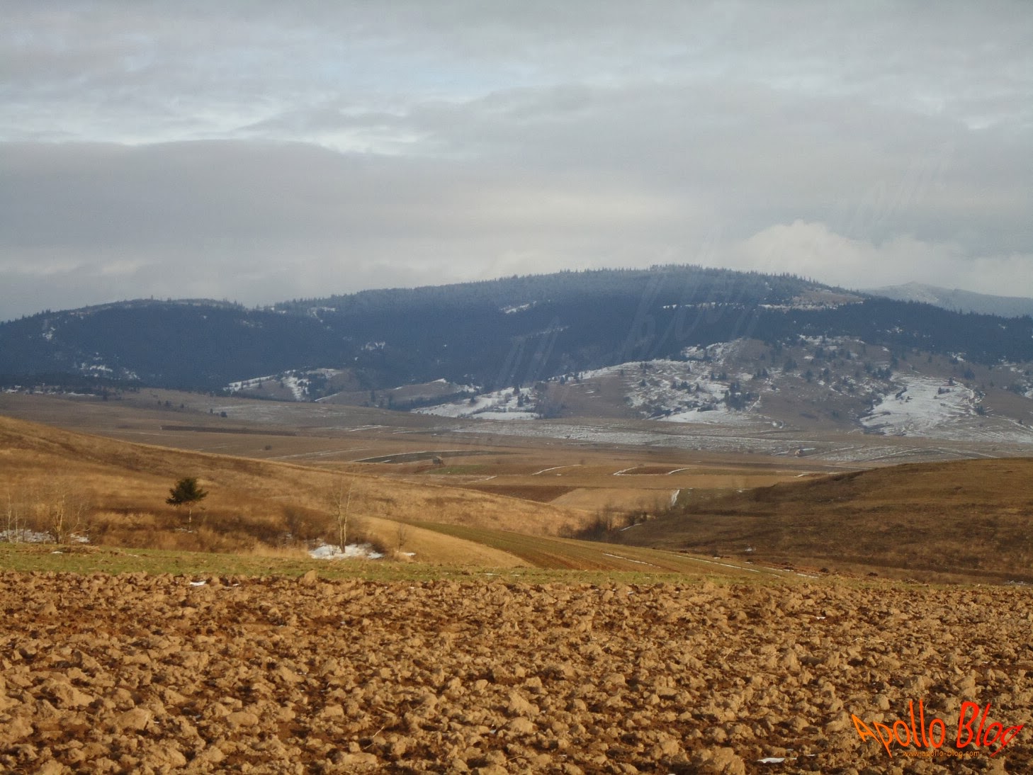 Apollo Blog: Niste dealuri