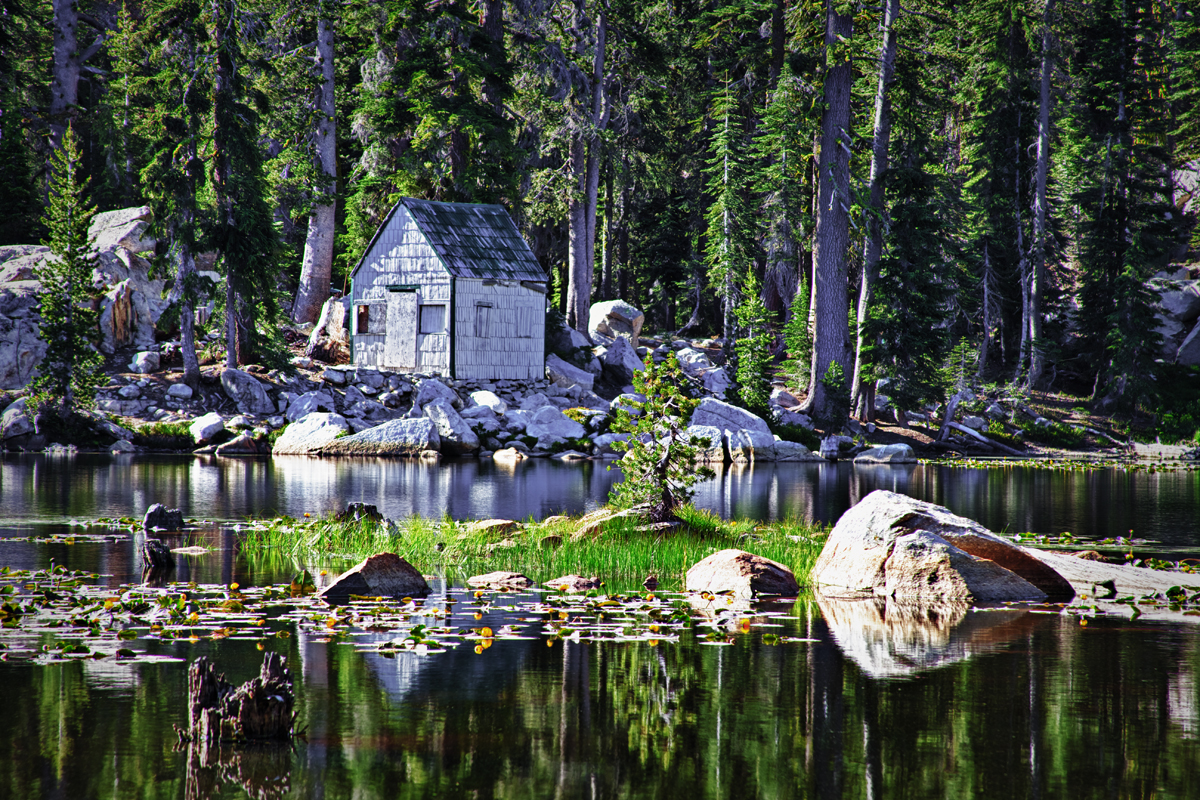 Rick Williams Photography: Ebbetts Pass