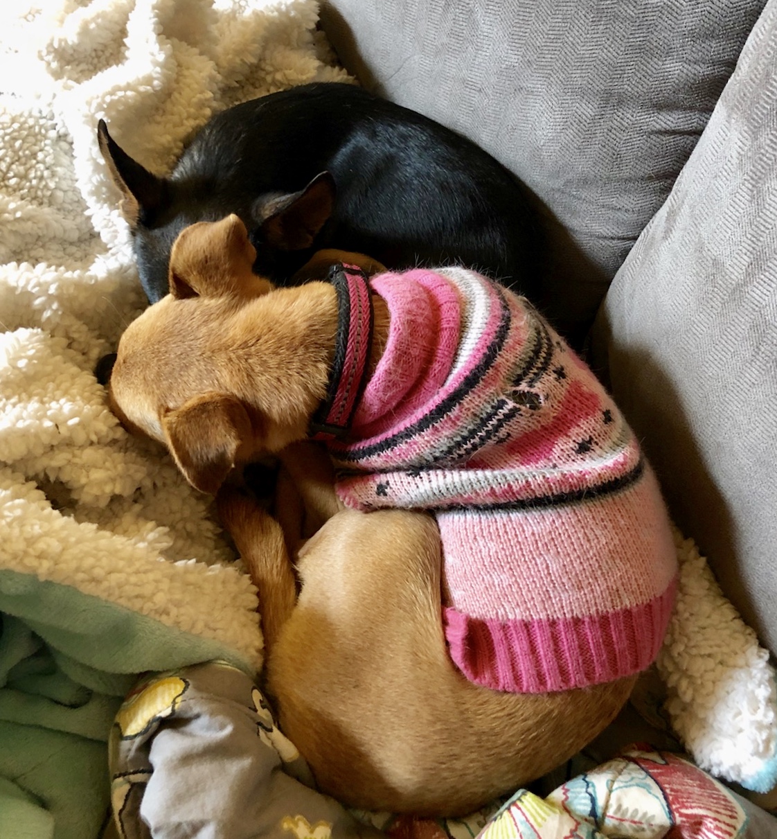 At Rivercrest Cottage: Two Orphan Dogs In A Christmas Tale