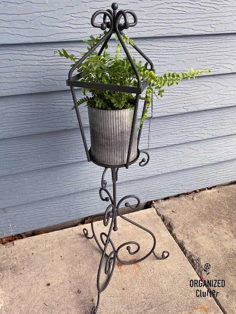 An Easy DIY Fern Stand From A Thrift Shop Find - Organized Clutter