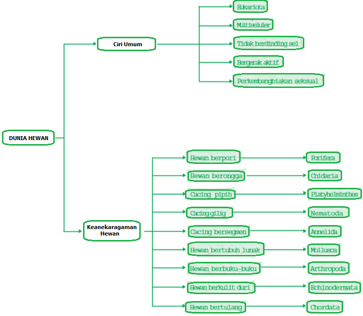 Contoh Peta Minda Hewan