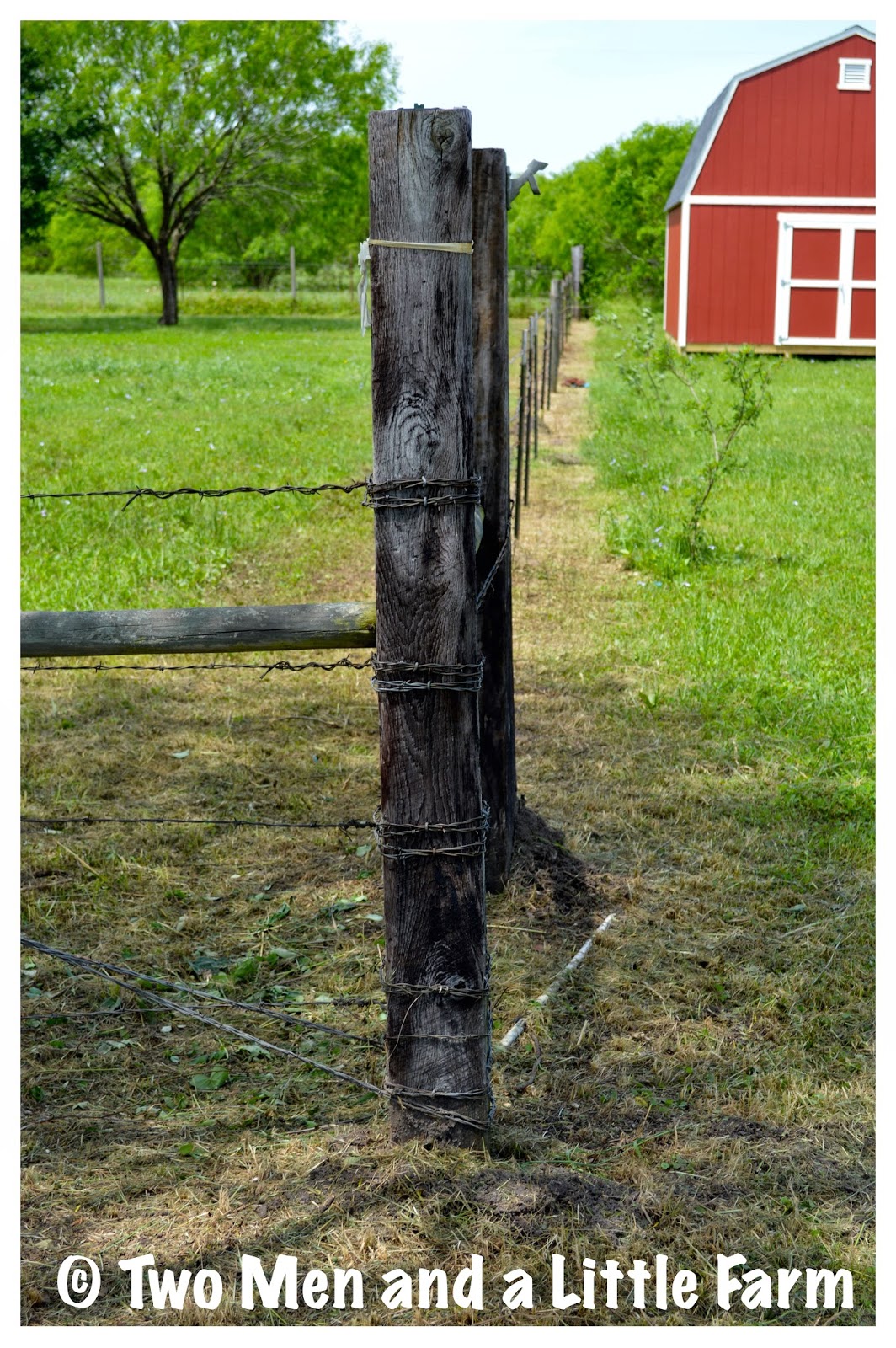 HOw To FENCELINE CLEARING